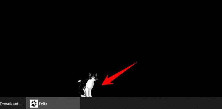 How to create a virtual Pet, a virtual character running around on the ...