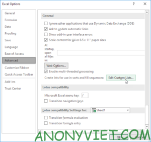 Lesson 3: Custom List - Basic Excel - AnonyViet - English Version