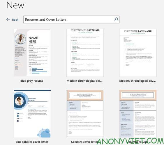 How to Create a Professional Resume Using Microsoft Word - AnonyViet ...