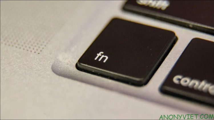 What is the Fn or Function key on the keyboard? - AnonyViet - English ...