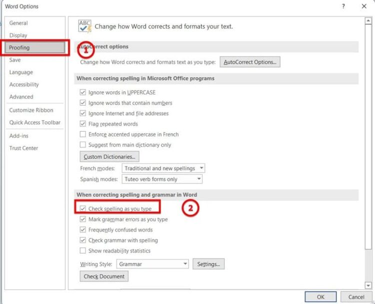 Guide to correct spelling mistakes for you or when you type - AnonyViet ...