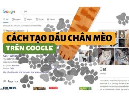 Tạo dấu chân mèo trên Google cực vui nhộn nhân ngày Quốc tế Mèo - AnonyViet
