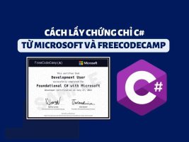Cách Nhận Chứng Chỉ C Miễn Phí Của Microsoft Và Freecodecamp Anonyviet