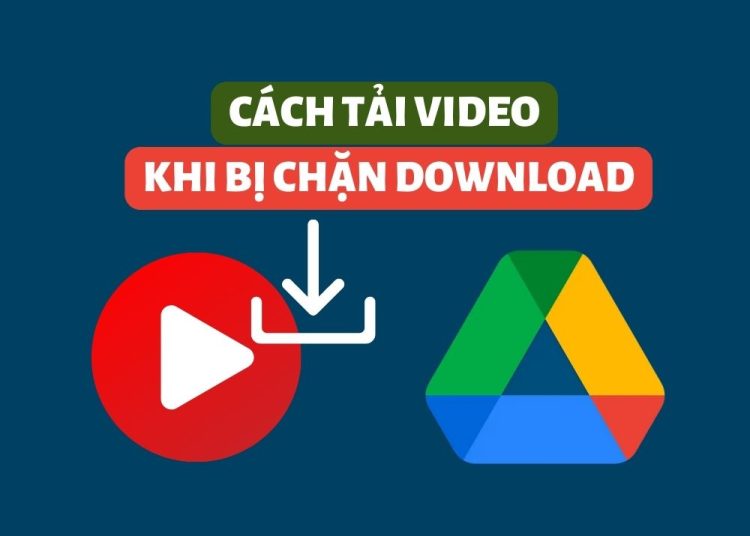 Dùng gdown để Download Google Drive bằng Terminal trên Linux và Windows - AnonyViet