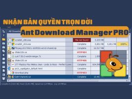 Nhận bản quyền Ant Download Manager PRO tăng tốc tải File - AnonyViet