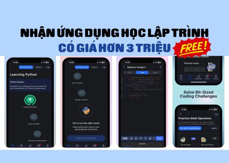 Cách Chuyển File Python Thành Exe Anonyviet 5339