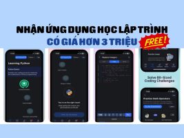 Get the free lifetime programming learning app now - AnonyViet - English Version