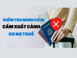 Cách kiểm tra có bị cấm xuất cảnh do nợ thuế không? - AnonyViet