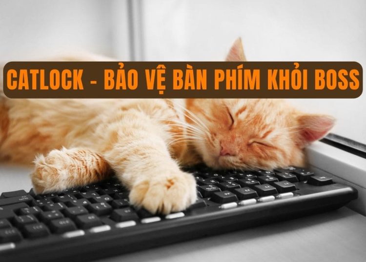 Cách điều khiển Chuột bằng Bàn phím - AnonyViet