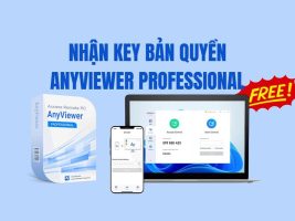Get AnyViewer Professional key: Remote computer control software ... Get AnyViewer Professional key: Remote computer control software ...