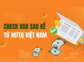 Check var sao kê từ MTTQ Việt Nam mà không cần tải xuống - AnonyViet
