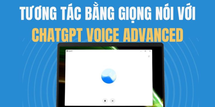 Trang chủ - AnonyViet