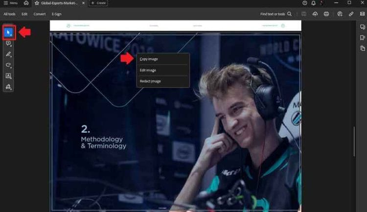 Cách lấy hình ảnh từ file PDF siêu đơn giản - AnonyViet