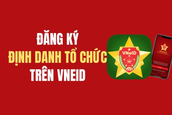 Instructions on how to identify organizations on VnEID - AnonyViet ...