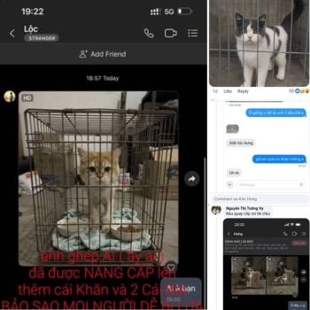 Cảnh giác: Dùng AI "tạo ảnh đã tìm thấy" thú cưng/đồ thất lạc để đòi ...